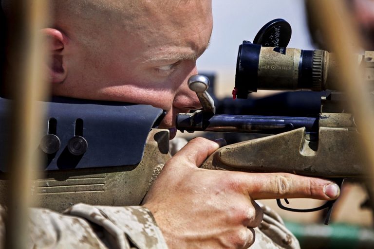 Shoot Like a Sniper: Simple Tips to Hone Your Marksmanship – Self ...
