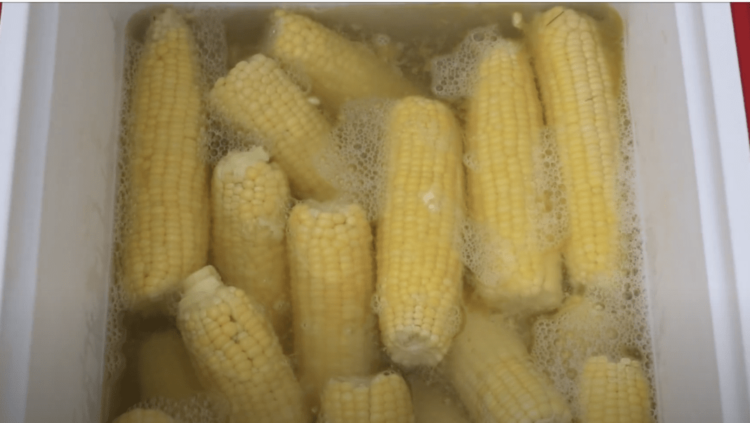 How to make Cooler Corn – Self Reliance Central