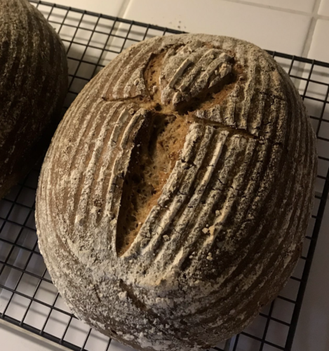 Xbox inventor bakes bread with 4,500 year-old yeast! – Self Reliance ...