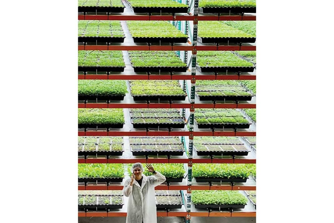 How Two Brothers Transformed an Abandoned Data Center into an Indoor ...