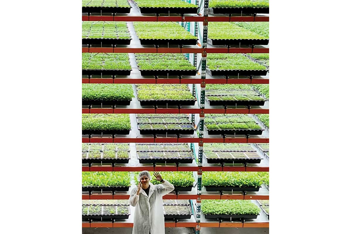 How Two Brothers Transformed an Abandoned Data Center into an Indoor ...